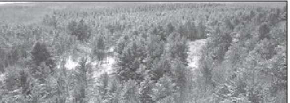 Celebrate 125 years of Wl State Park System in 2025 - Central Wisconsin ...