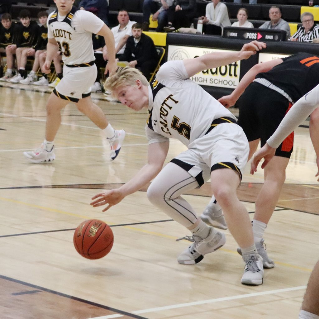 Hornets watch trio of home games go to the opposition - Central ...