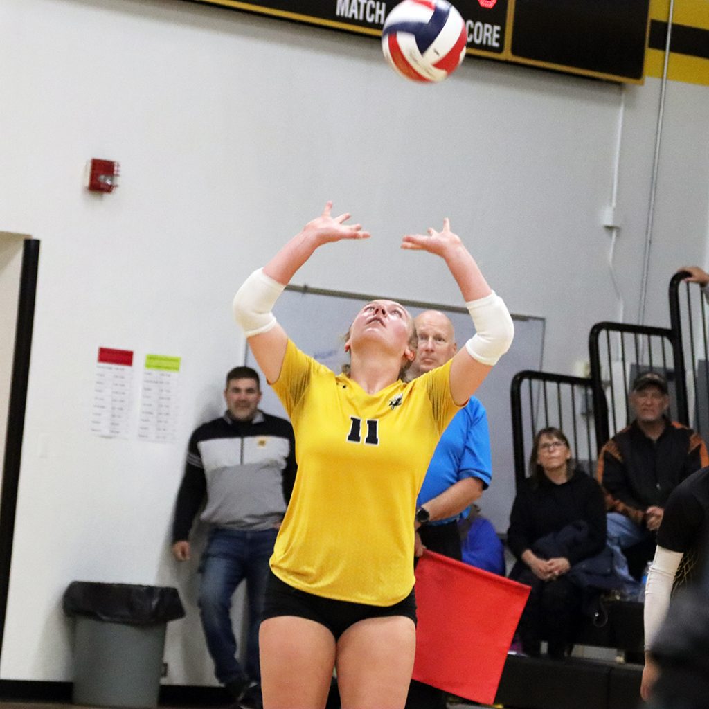 Cadott gnaws at Beavers for win, but falls to Dons - Central Wisconsin News