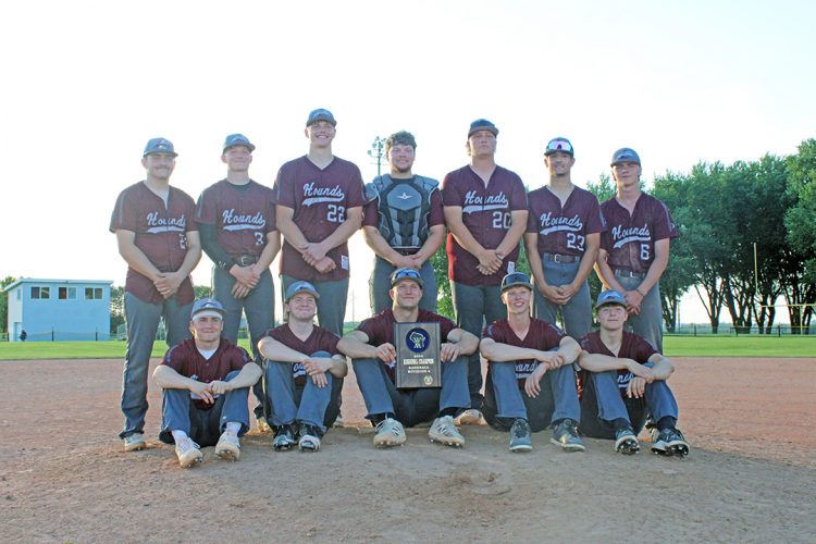 Hounds baseball team snaps 14-year sectional drought - Central ...